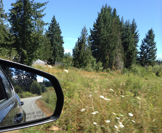 Escaping Fibromyalgia Medication Prison